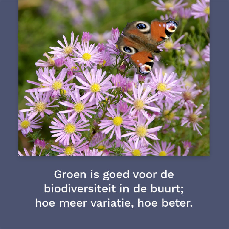 De Levende Tuin – Gezonder voor jezelf, kinderen en dieren
